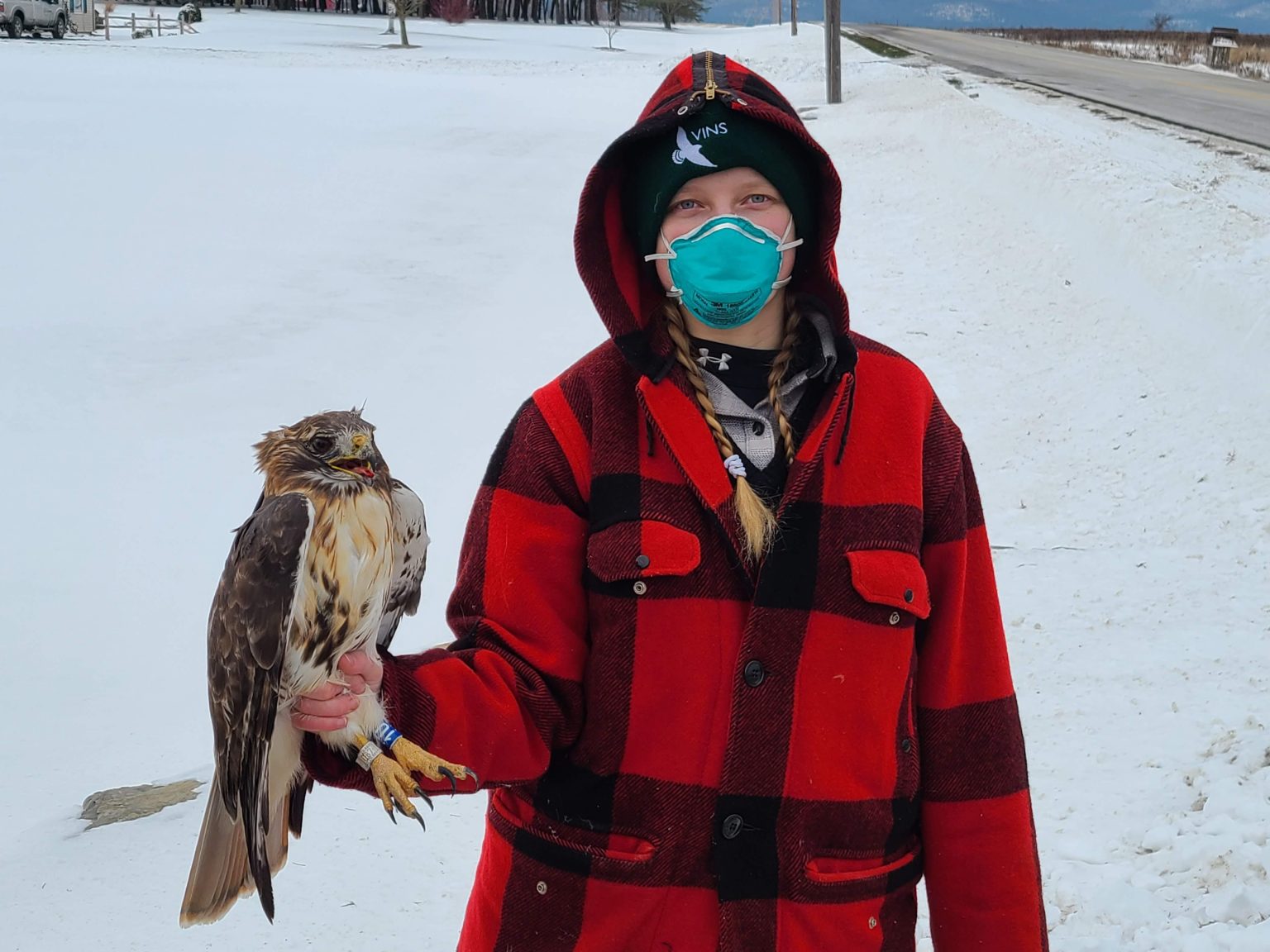 Winter Raptor Research Updates From the Field - Season Wrap Up - Nature ...