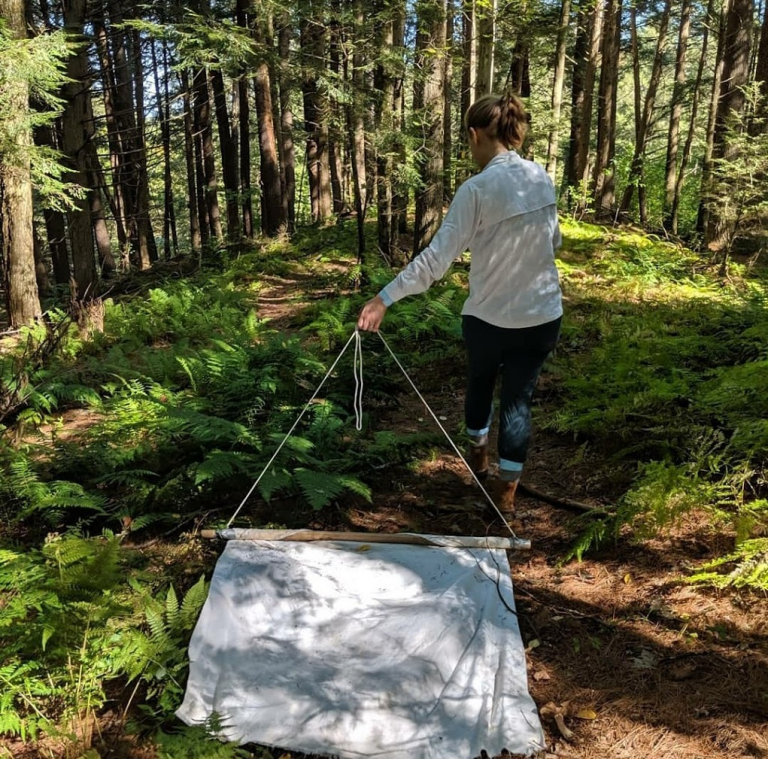 Tick Research Updates From the Field - Week 1 - Nature Blog