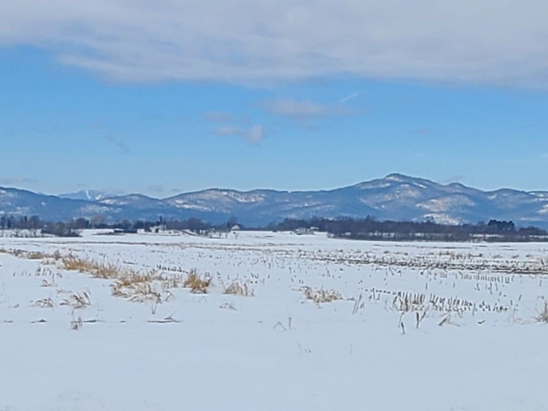 Winter Raptor Research Updates From the Field - Season 2 Wrap Up ...